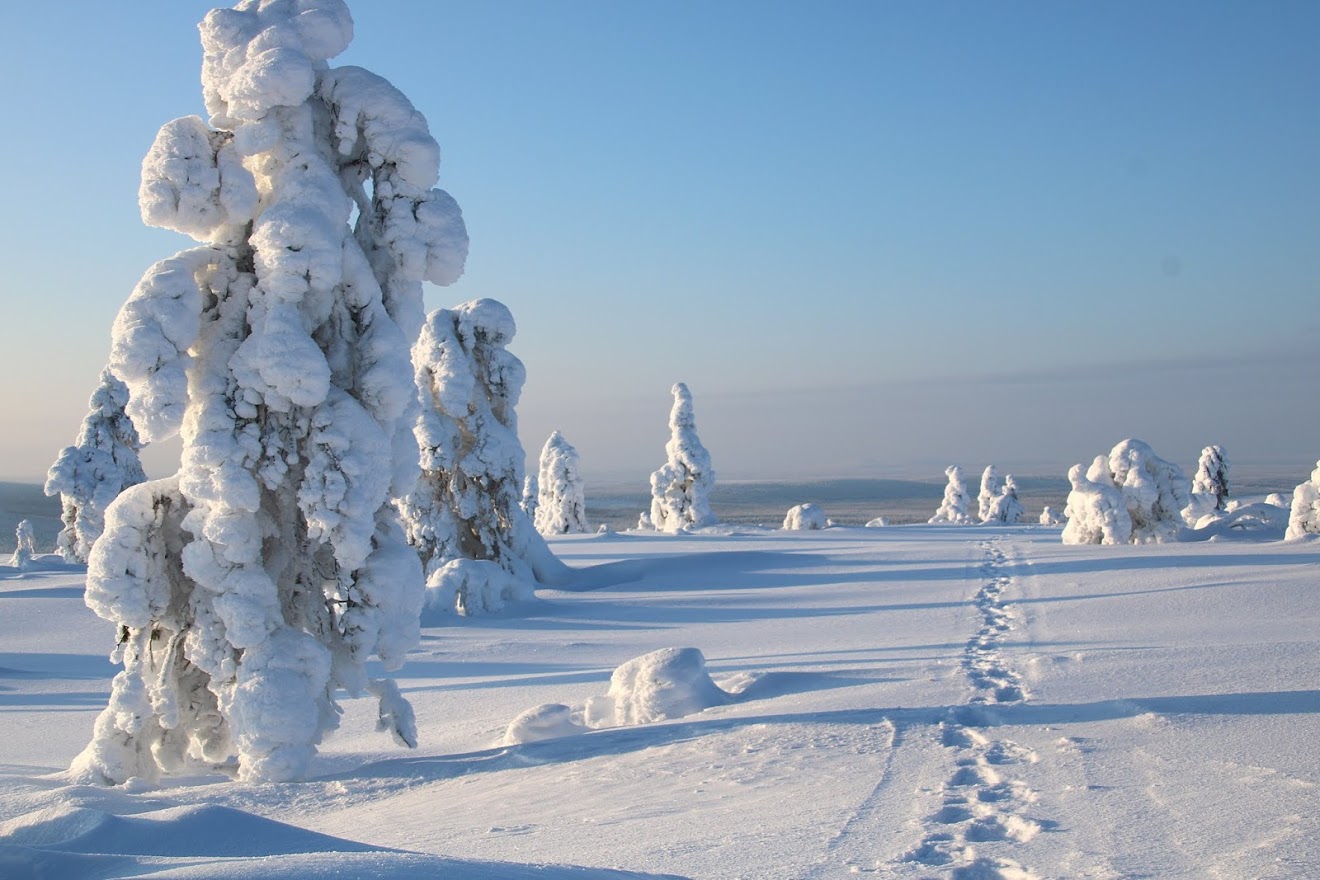 Solantis - Uutta virtaa työhön ja hyvinvointiin — Solantis
